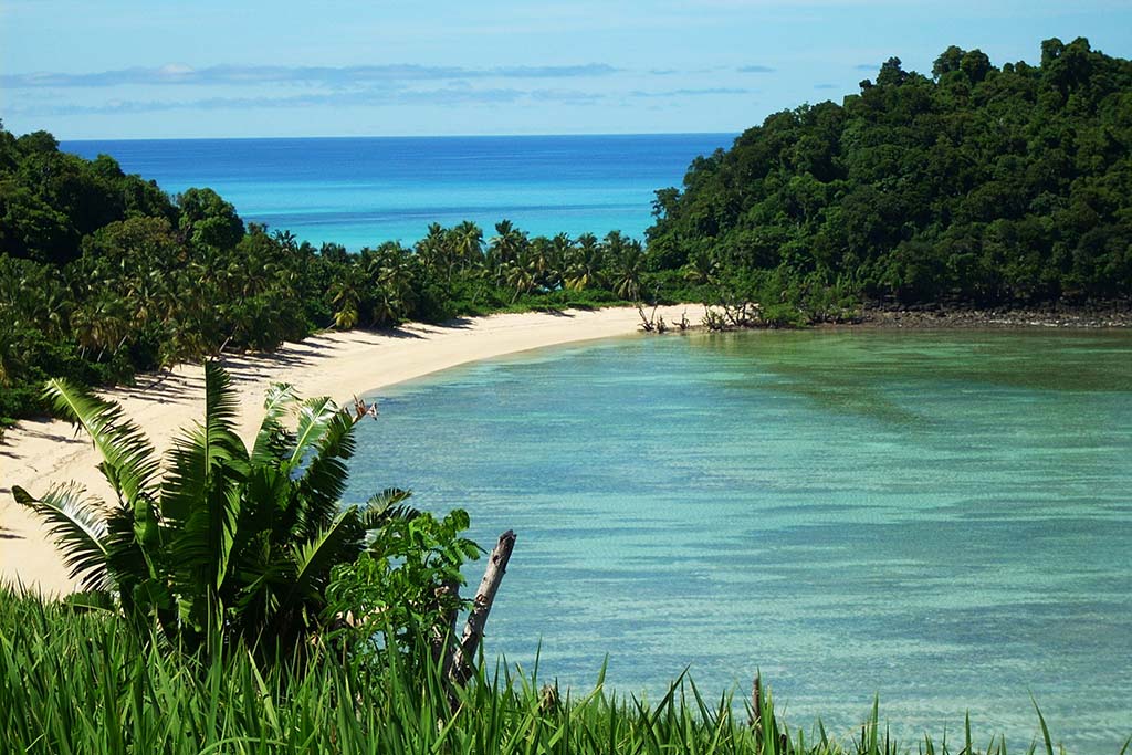 Tauchen auf Nosy Komba » Großfische Tauchen » Absolut Scuba
